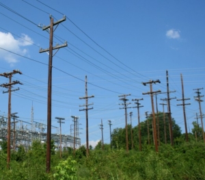 Resistograph R650-EA (Standard, Temperate Trees & Timber Inspection ...