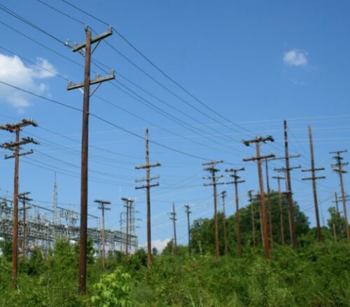 Resistograph R650-SC (Scientific, High Resolution, Tree & Timber ...